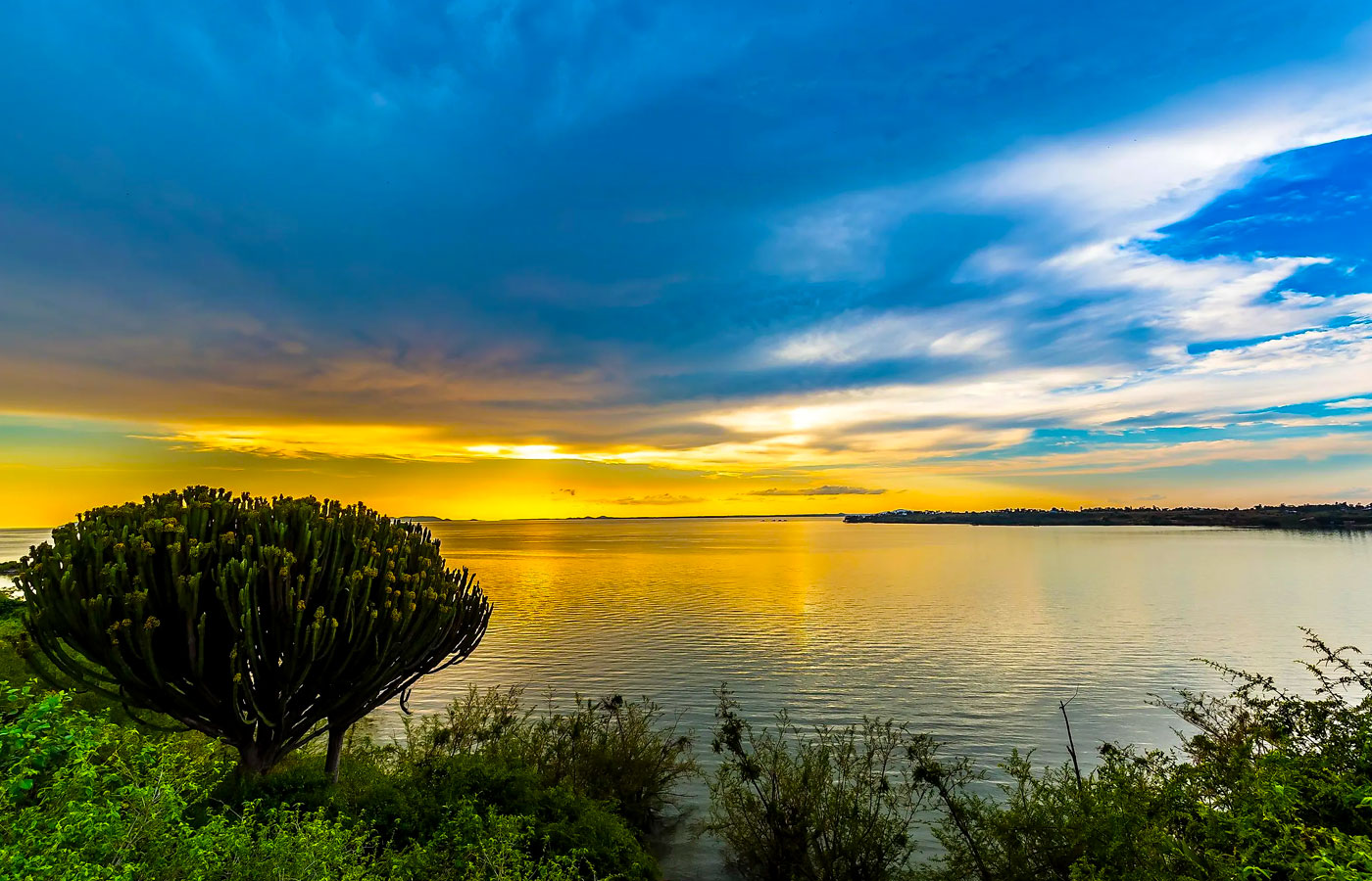 Lake Victoria - Primal Pathways Safaris